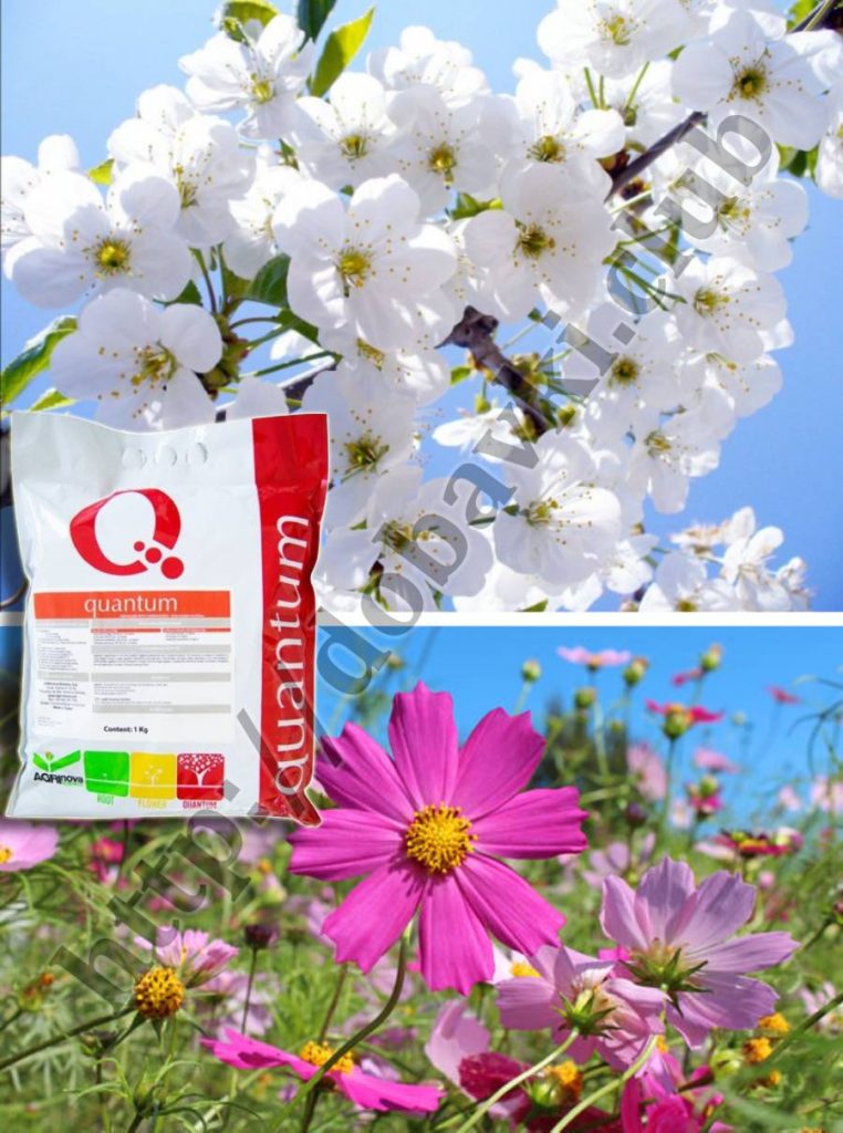Куантум 5-22-22 (за цъфтеж) | dobavki.club